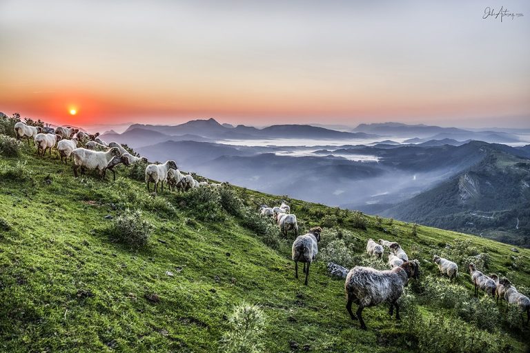 Buber's Basque Page | A site dedicated to the Basque people!